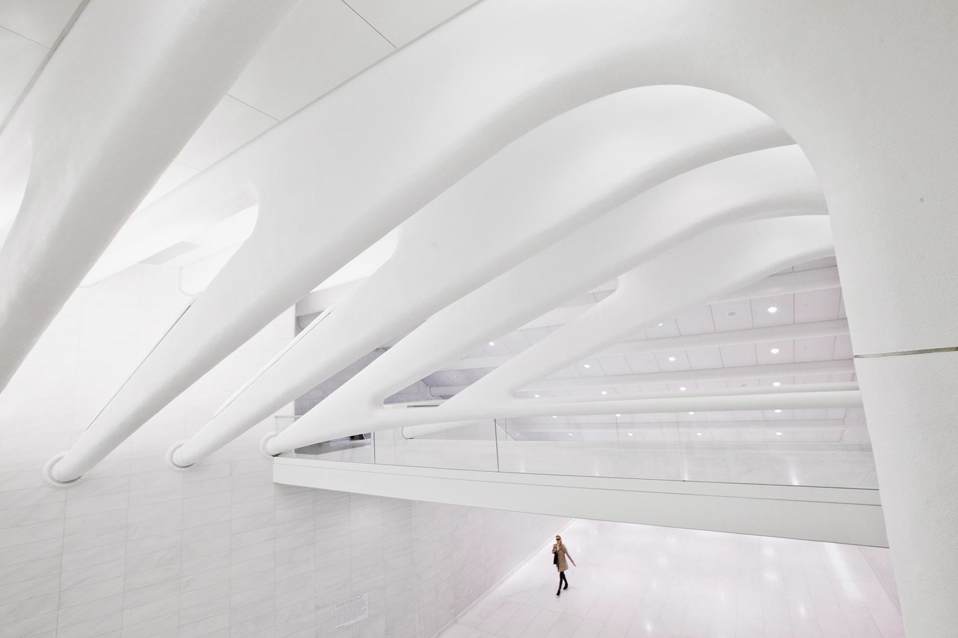 Oculus - exterior - modlar.com