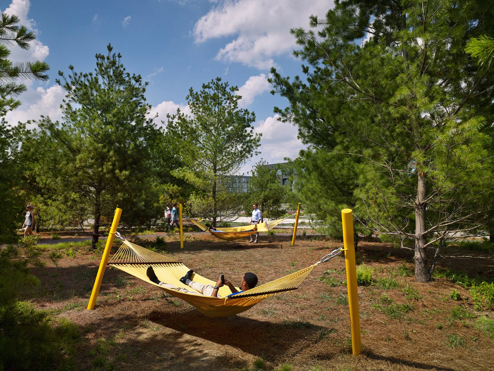 Color and Pattern in Urban Parks - modlar.com