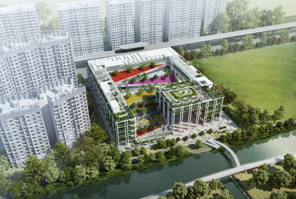 Oasis Terrace - Concept design - modlar.com