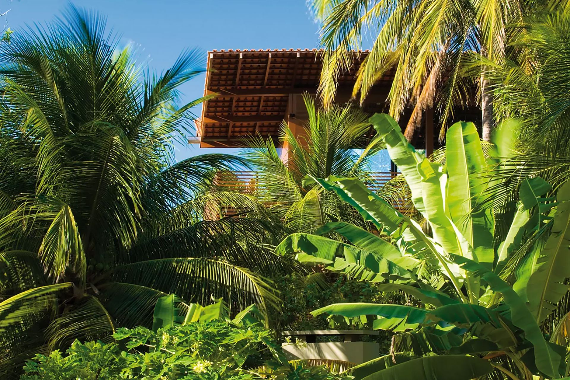 Casa Tropical - modlar.com