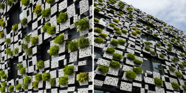 Green Cast - modlar.com