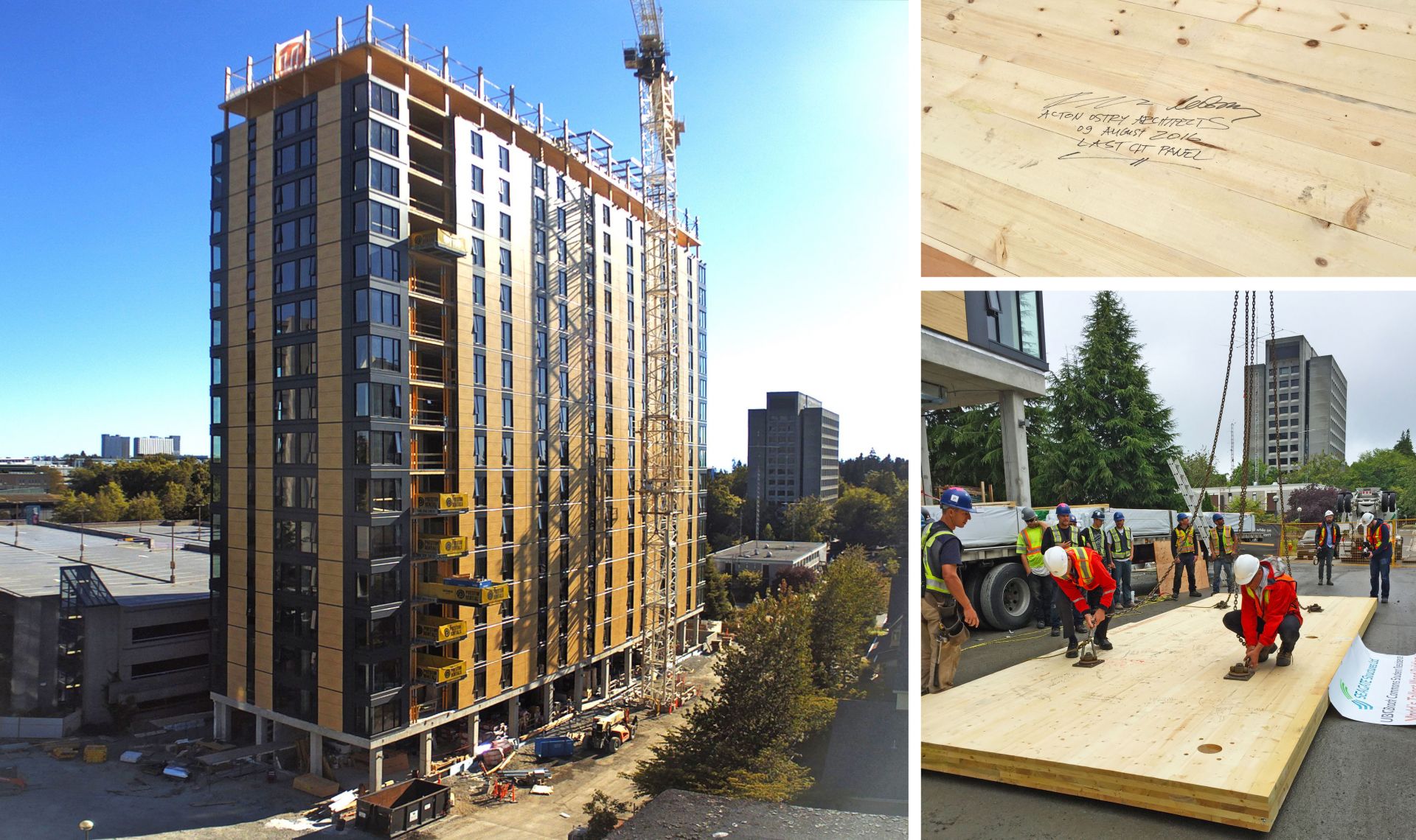 TallWood House - Construction - modlar.com