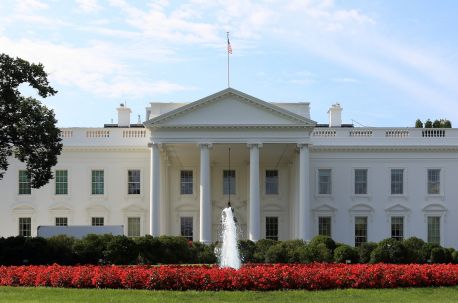 Color Photo Collections - Modlar