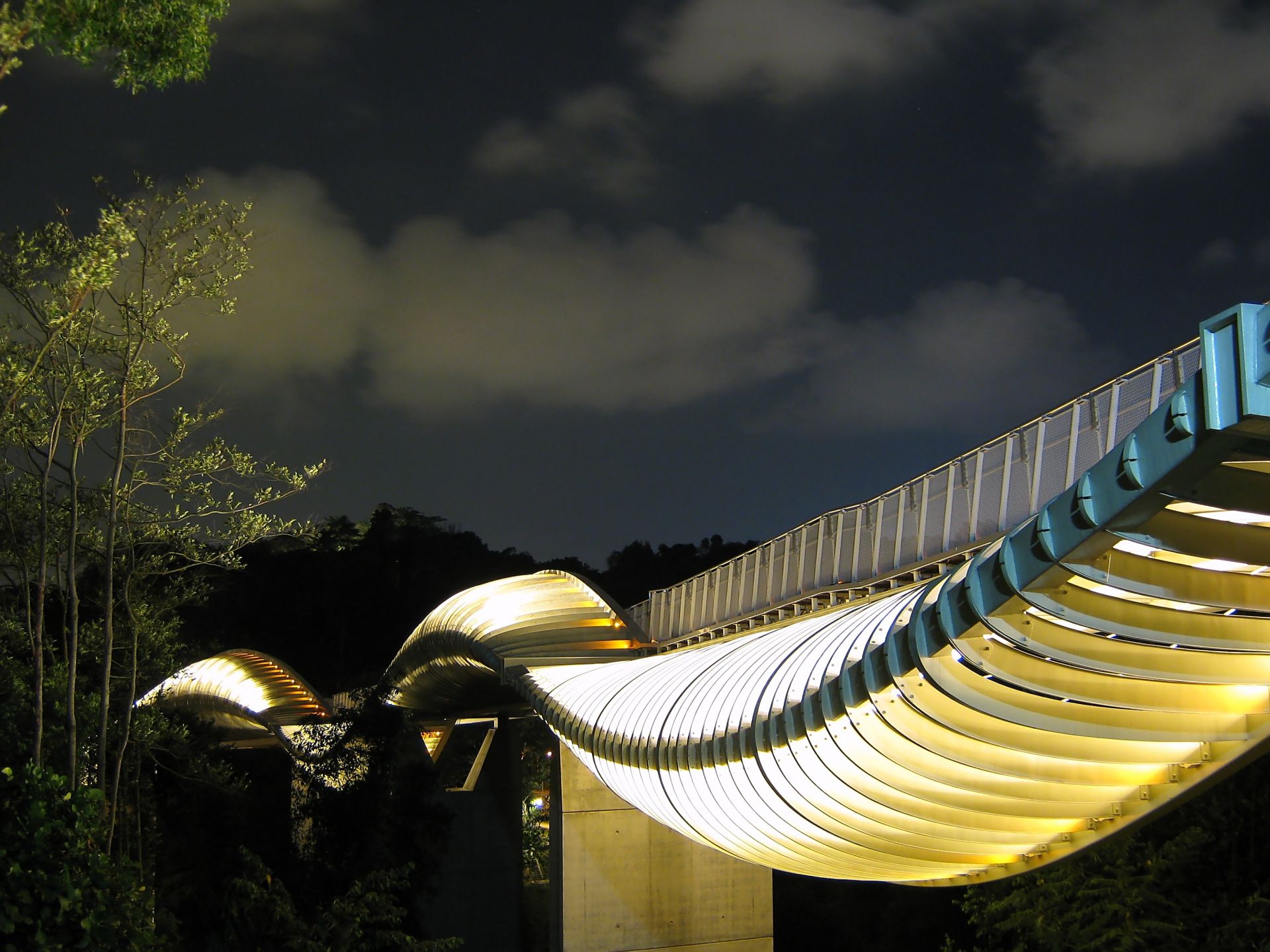 The Henderson Wave Bridge - Night View - modlar.com