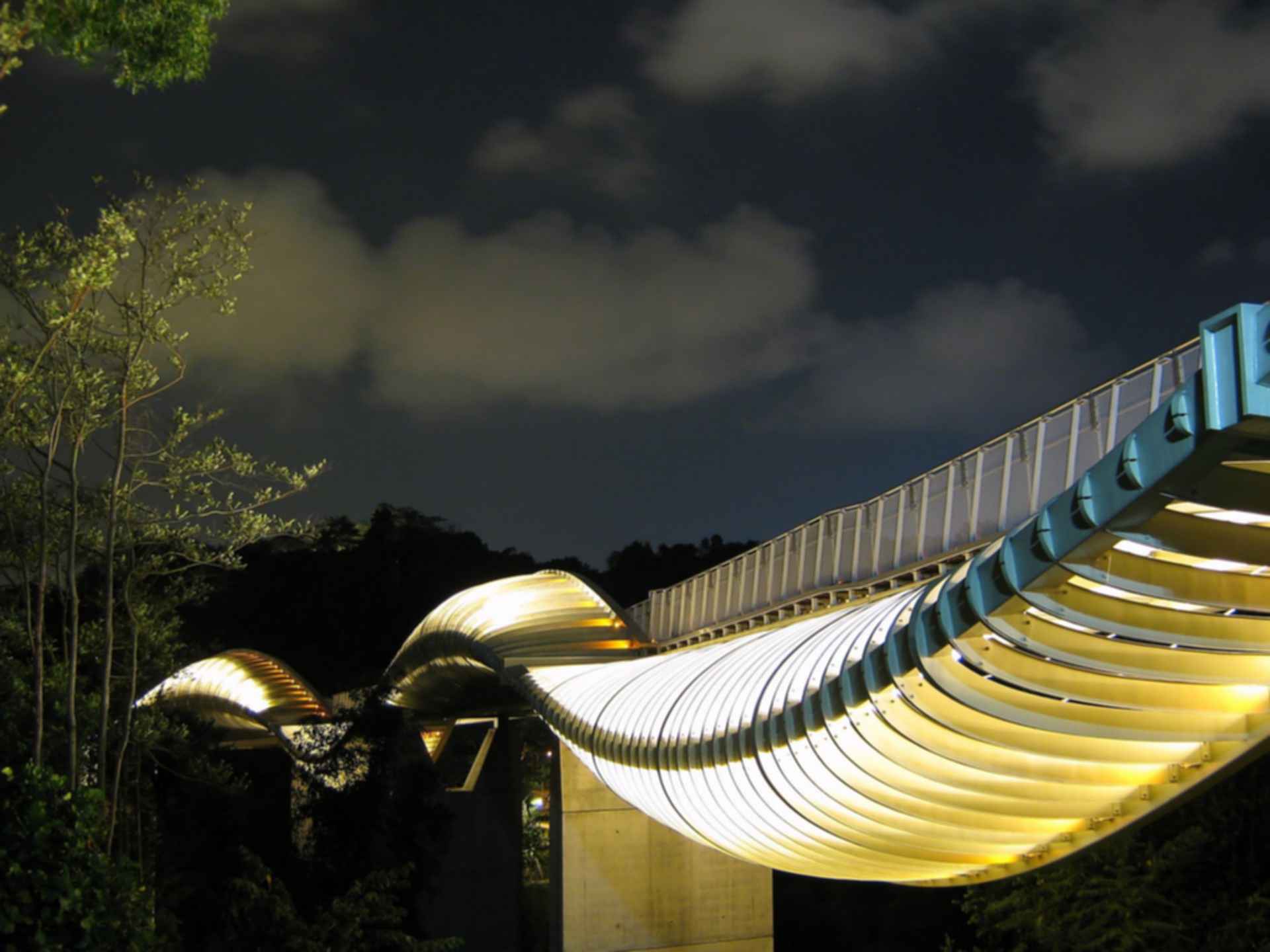 The Henderson Wave Bridge Night View Modlar