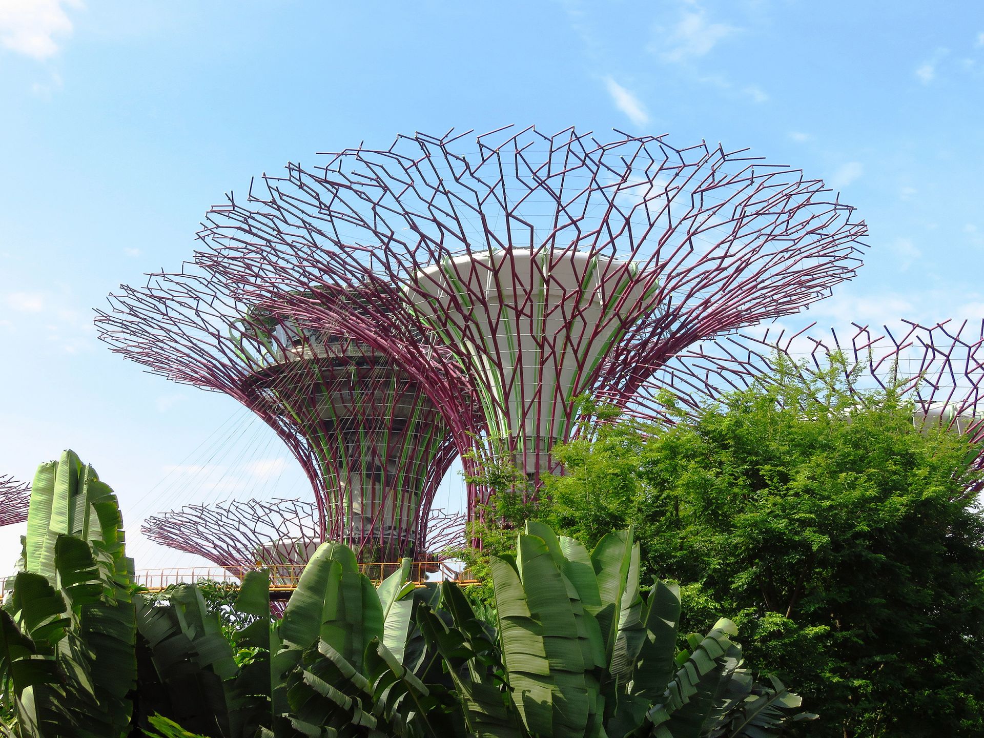 Supertree Grove - in Front of Marina Bay Sands - modlar.com