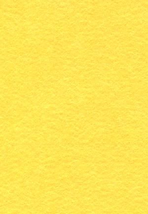 Woven Image EchoPanel - 12mm - modlar.com