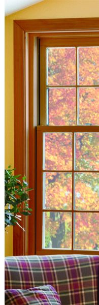 Majesty Wood Replacement & New Construction Windows - modlar.com