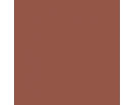 Aurora Brown SW2837 Paint by Sherwin-Williams - modlar.com