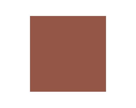 Aurora Brown SW2837 Paint by Sherwin-Williams - modlar.com