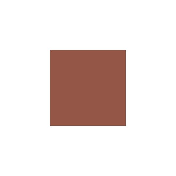 Aurora Brown SW2837 Paint by Sherwin-Williams - modlar.com