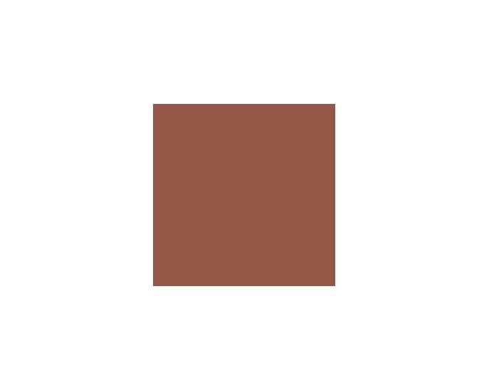 Aurora Brown SW2837 Paint by Sherwin-Williams - modlar.com