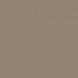 Brainstorm Bronze SW7033 Paint by Sherwin-Williams - modlar.com