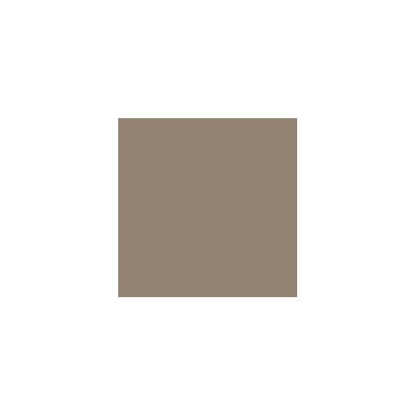 Brainstorm Bronze SW7033 Paint by Sherwin-Williams - modlar.com