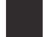 Caviar SW6990 Paint by Sherwin-Williams - modlar.com