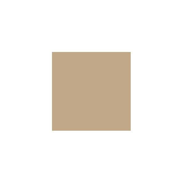 Dapper Tan SW6144 Paint by Sherwin-Williams - modlar.com