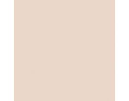 Familiar Beige SW6093 Paint by Sherwin-Williams - modlar.com