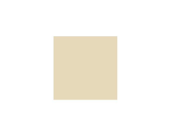 Favorite Tan SW6157 Paint by Sherwin-Williams - modlar.com