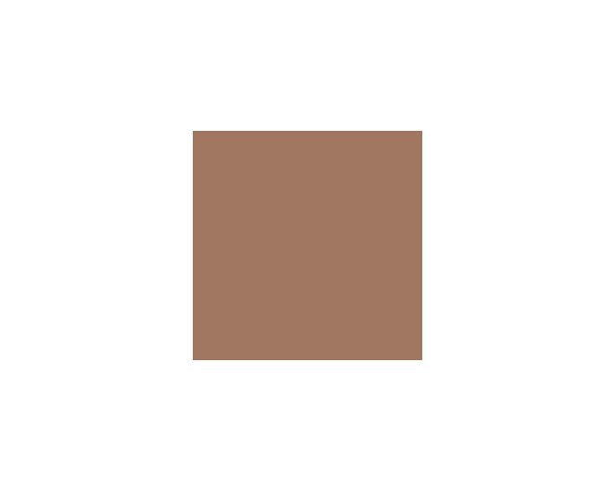 Grounded SW6089 Paint by Sherwin-Williams - modlar.com