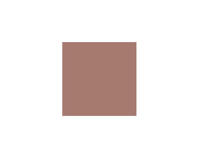 Hot Cocoa SW6047 Paint by Sherwin-Williams - modlar.com