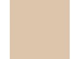 Latte SW6108 Paint by Sherwin-Williams - modlar.com