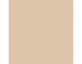 Latte SW6108 Paint by Sherwin-Williams - modlar.com