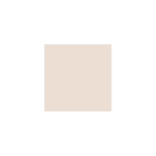 Lightweight Beige SW6092 Paint by Sherwin-Williams - modlar.com