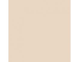 Nomadic Desert SW6107 Paint by Sherwin-Williams - modlar.com