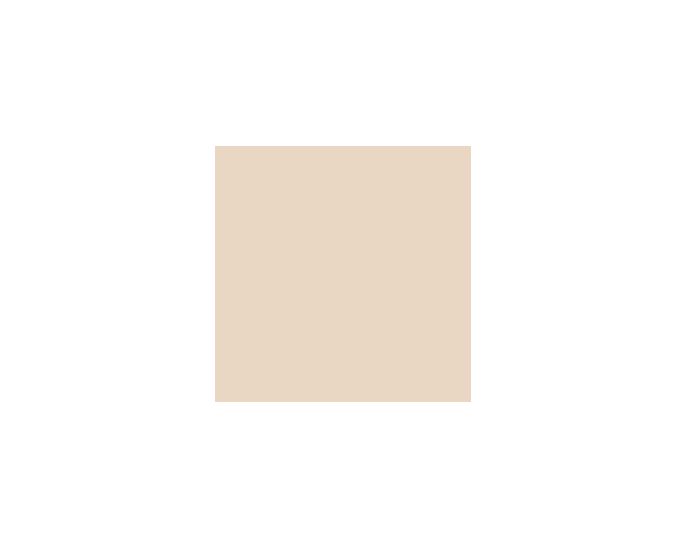 Nomadic Desert SW6107 Paint by Sherwin-Williams - modlar.com