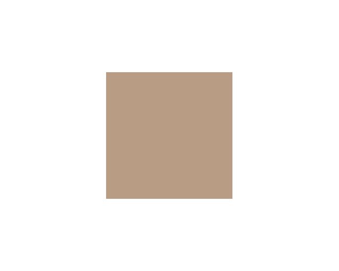 Portabello SW6102 Paint by Sherwin-Williams - modlar.com