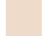 Practical Beige SW6100 Paint by Sherwin-Williams - modlar.com