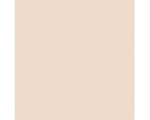 Practical Beige SW6100 Paint by Sherwin-Williams - modlar.com