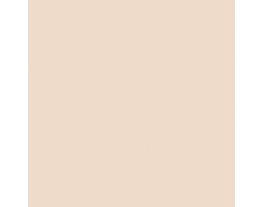 Practical Beige SW6100 Paint by Sherwin-Williams - modlar.com