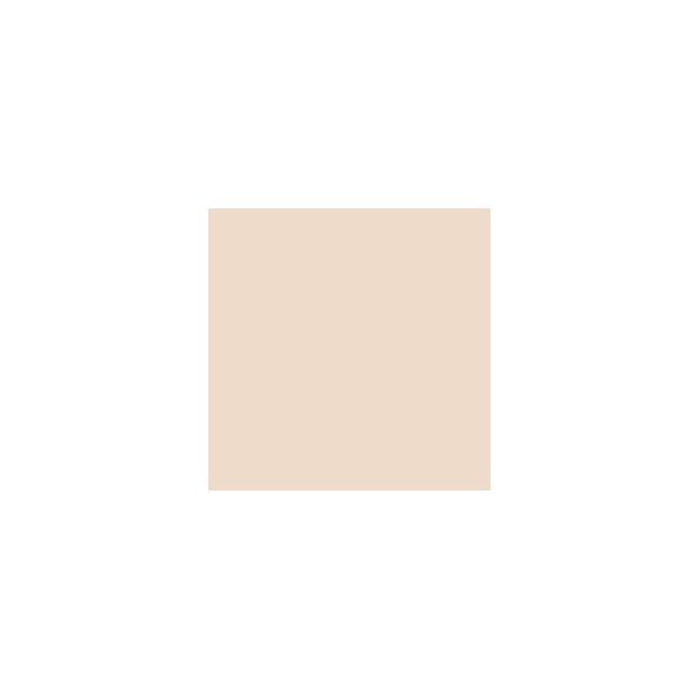 Practical Beige SW6100 Paint by Sherwin-Williams - modlar.com