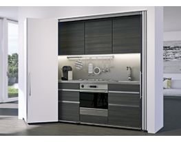 Pivoting Pocket Doors - modlar.com