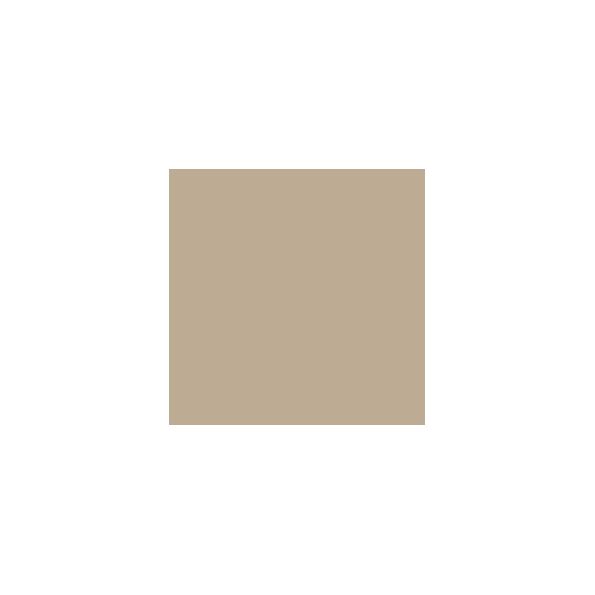 Quiver Tan SW6151 Paint by Sherwin-Williams - modlar.com