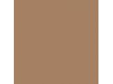 Rockwood Brown SW2806 Paint by Sherwin-Williams - modlar.com