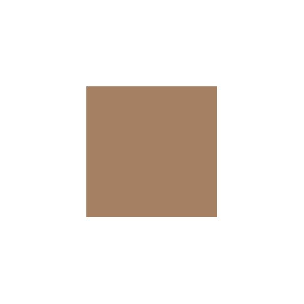 Rockwood Brown SW2806 Paint by Sherwin-Williams - modlar.com