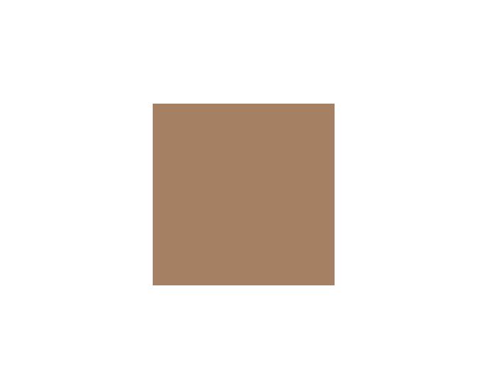 Rockwood Brown SW2806 Paint by Sherwin-Williams - modlar.com