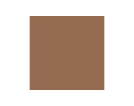 Rockwood Medium Brown SW2807 Paint by Sherwin-Williams - modlar.com