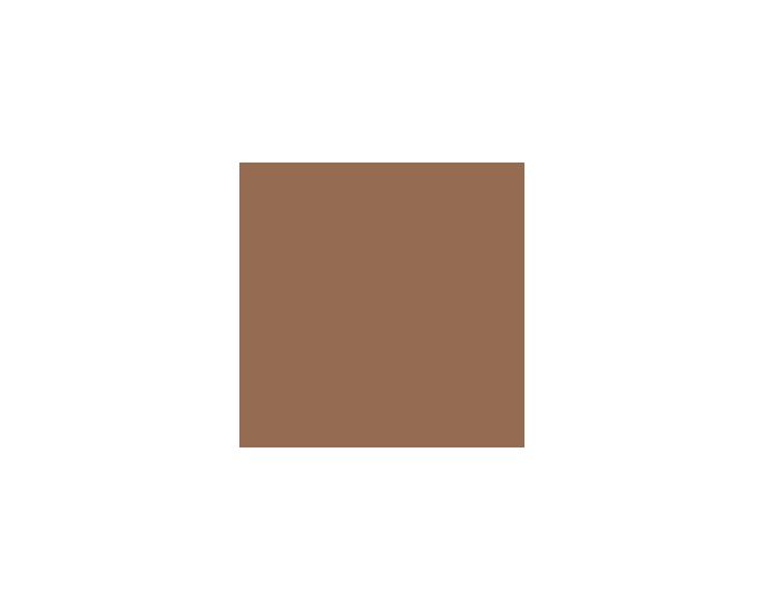 Rockwood Medium Brown SW2807 Paint by Sherwin-Williams - modlar.com