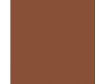 Vintage Leather SW6062 Paint by Sherwin-Williams - modlar.com