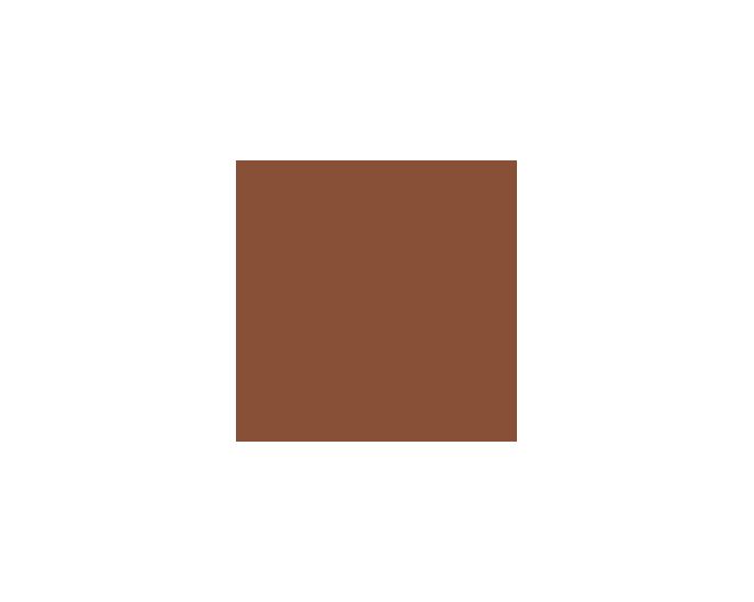 Vintage Leather SW6062 Paint by Sherwin-Williams - modlar.com