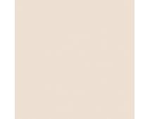 Sand Dollar SW6099 Paint by Sherwin-Williams - modlar.com