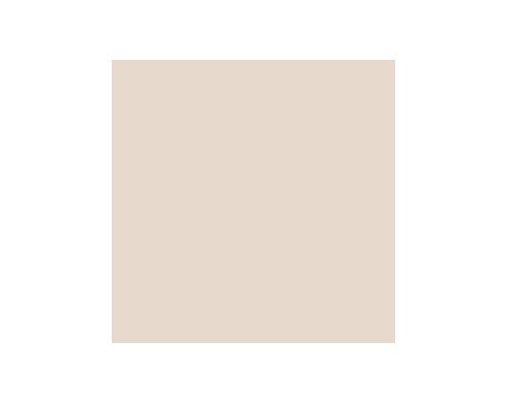 Sand Dune SW6086 Paint by Sherwin-Williams - modlar.com