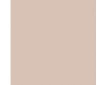 Sand Trap SW6066 Paint by Sherwin-Williams - modlar.com