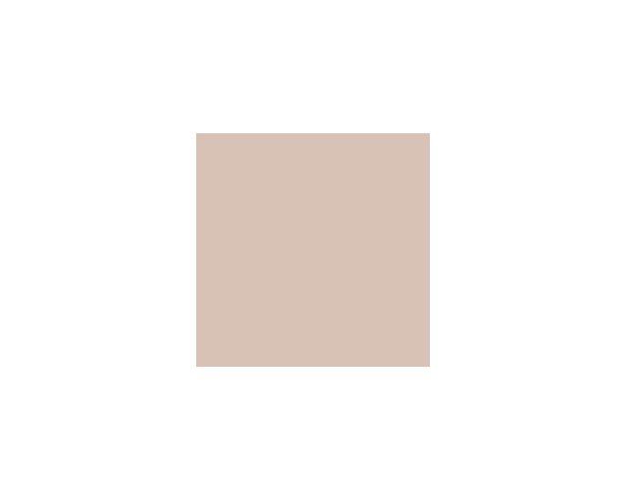 Sand Trap SW6066 Paint by Sherwin-Williams - modlar.com