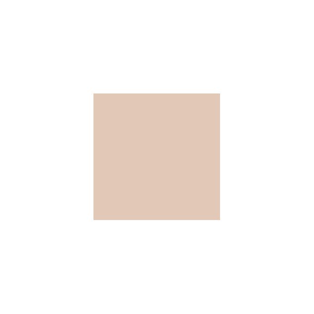 Sands of Time SW6101 Paint by Sherwin-Williams - modlar.com