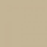 Sawdust SW6158 Paint by Sherwin-Williams - modlar.com