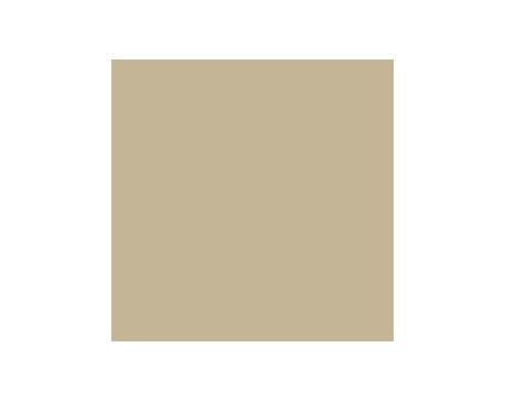 Sawdust SW6158 Paint by Sherwin-Williams - modlar.com